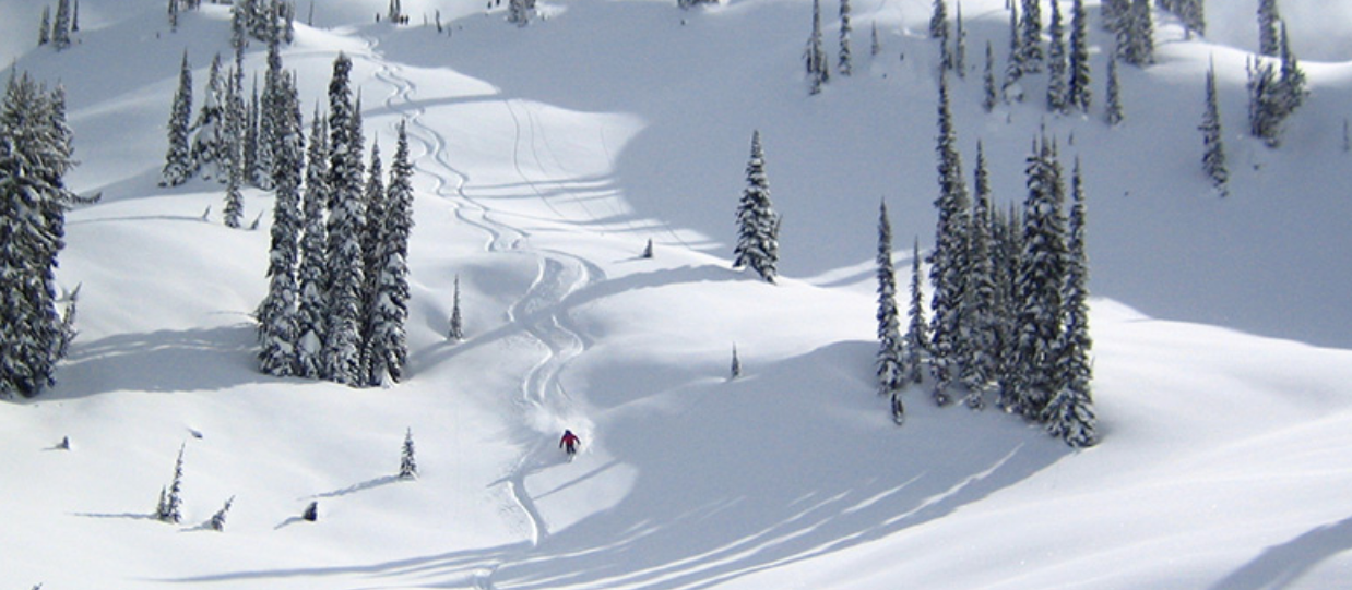 Great Northern Snowcat Skiing