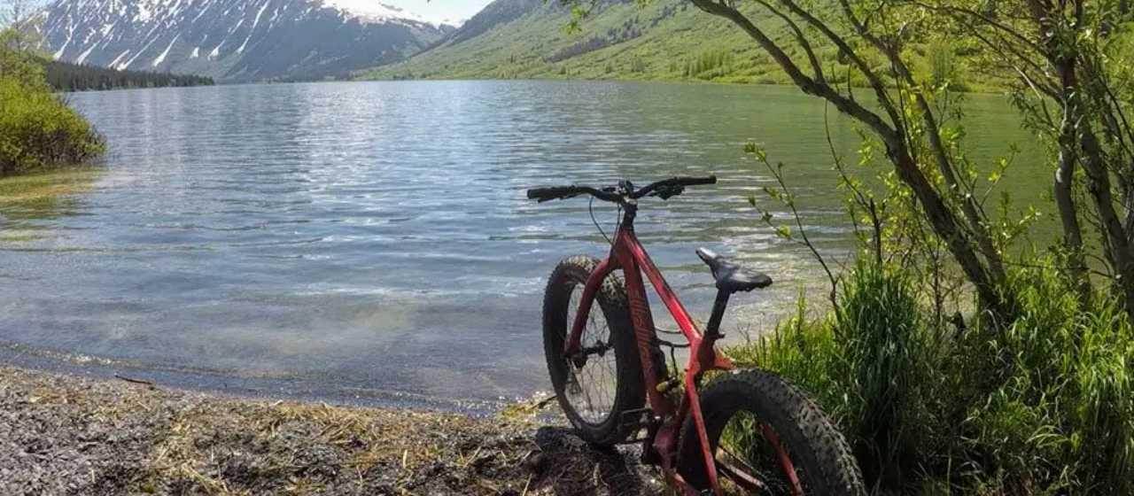 Alaska Trail Guides - Kenai Peninsula Mountain Biking Tour