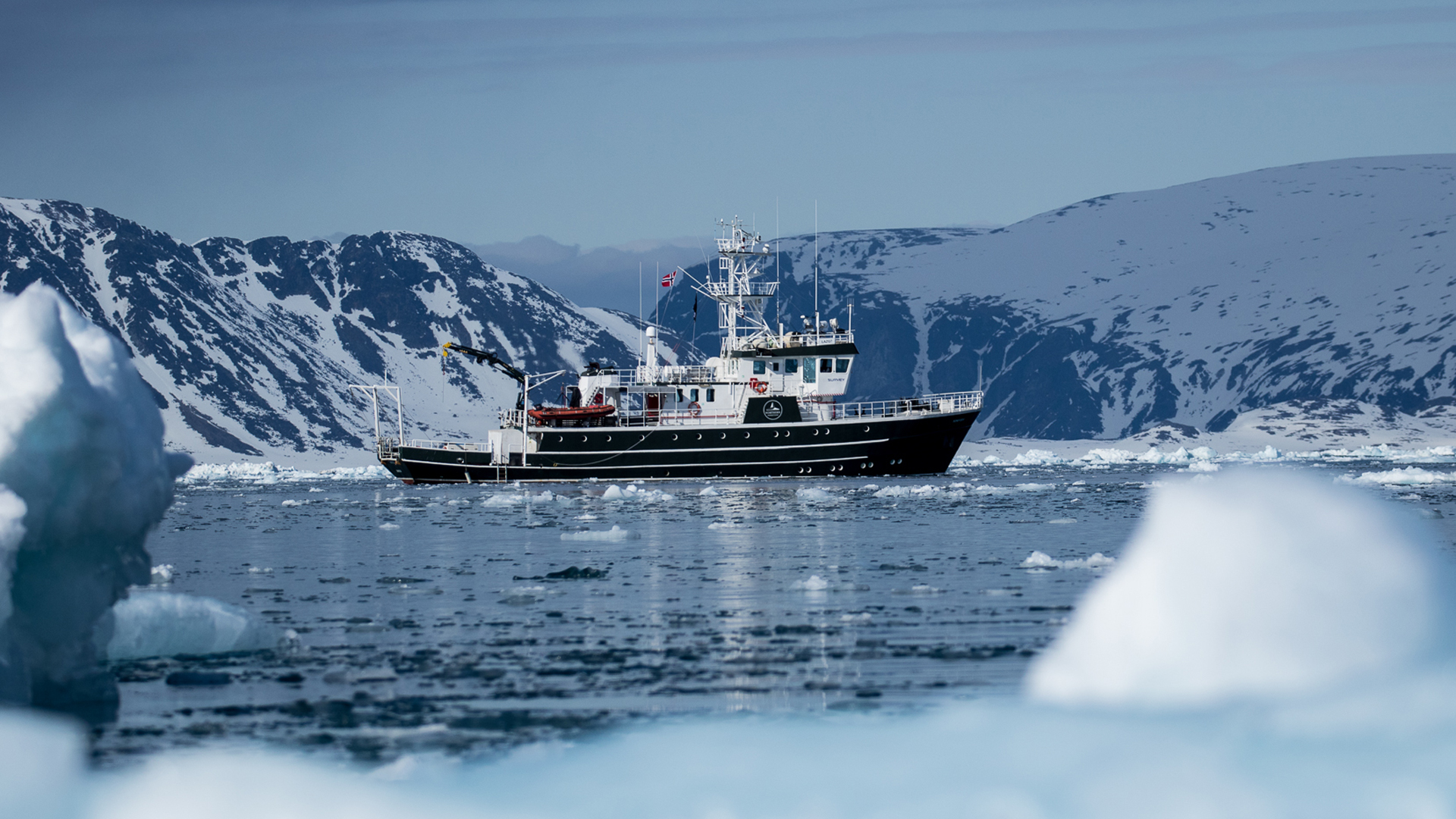 Natural World Safaris - Diving with Orcas in Norway