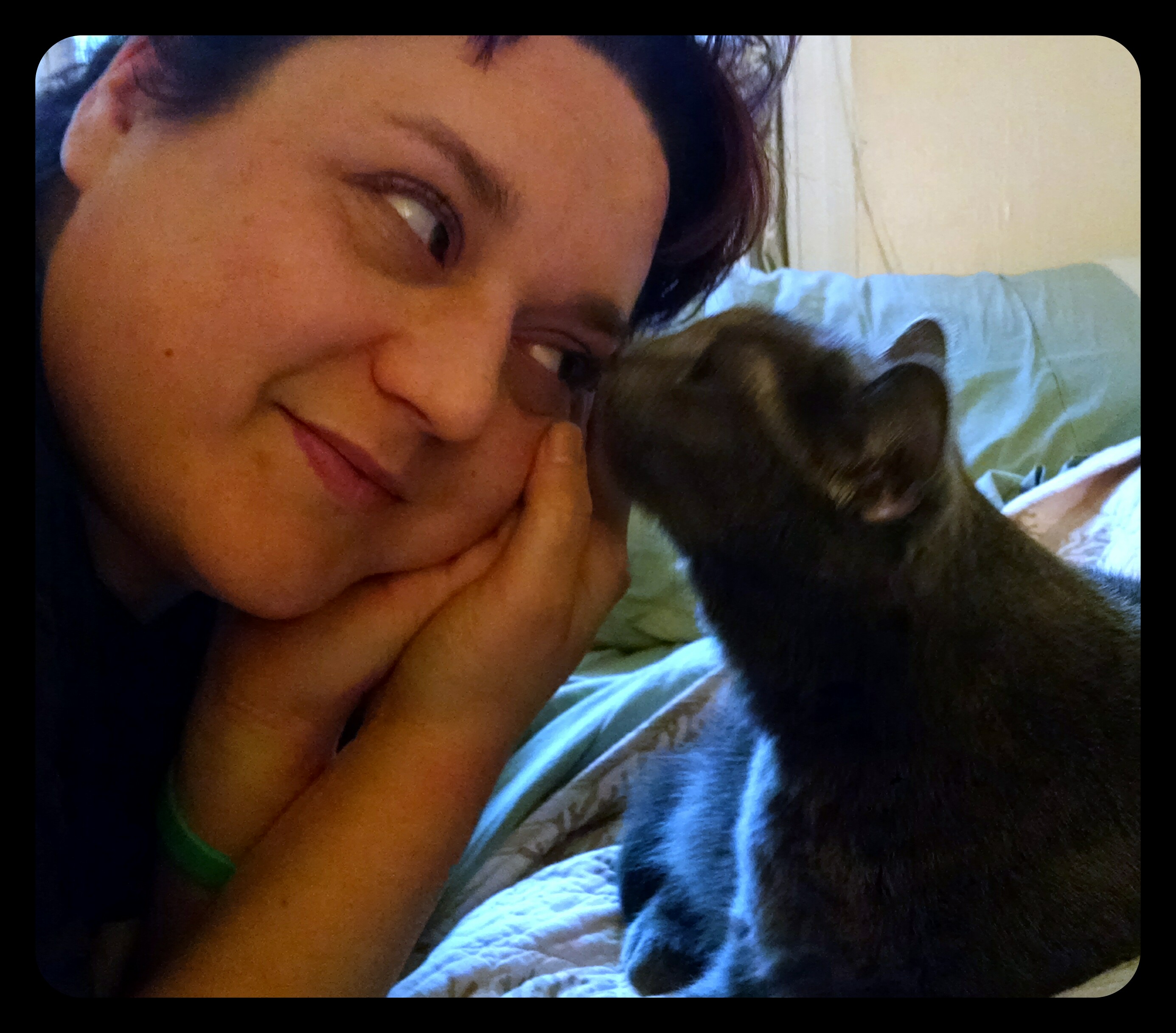 Donate to South-Atlantic Transplant Fund in honor of Crystal L Webster