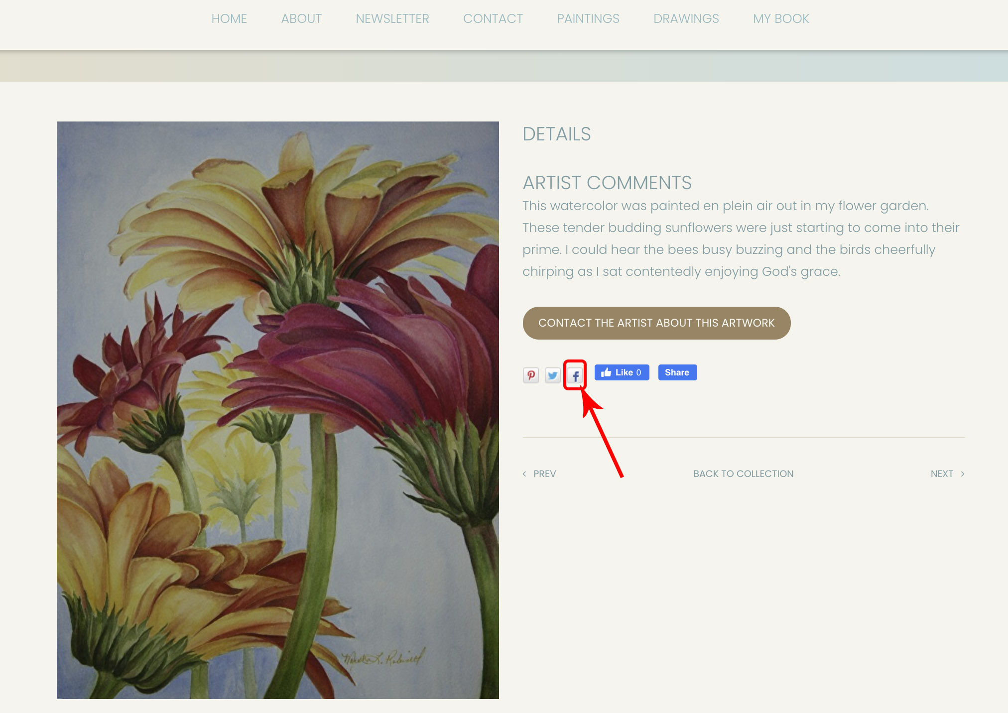 BoldBrush — Share Images and Links from Website to Facebook
