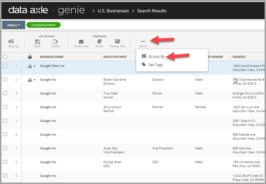 Salesgenie — What is "Group By"