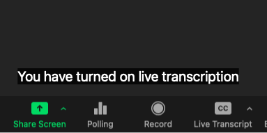 Enable Live Automatic Transcriptions (Closed Captioning) - Learning ...