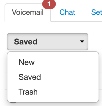 Get started: The end user’s guide to the Pilot Voice Portal - Pilot