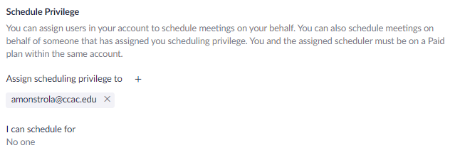 Zoom Meetings Basic Guide (from your computer) - CCAC's Help Center