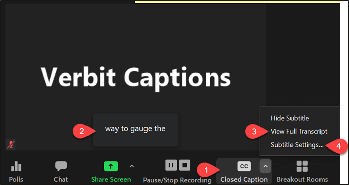 Viewing Closed Captions from a Verbit Transcriber - CCAC's Help Center