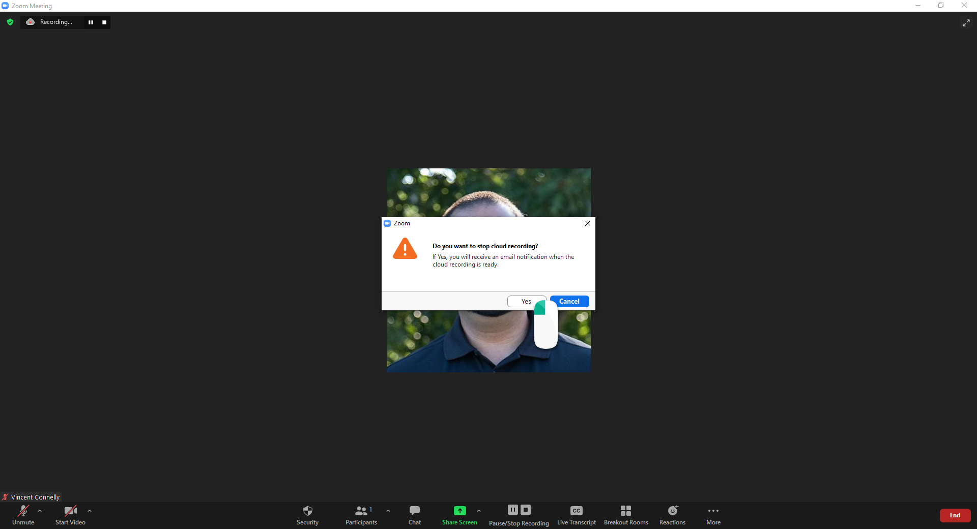 Zoom Meetings Advanced Guide (from your computer) - CCAC's Help Center