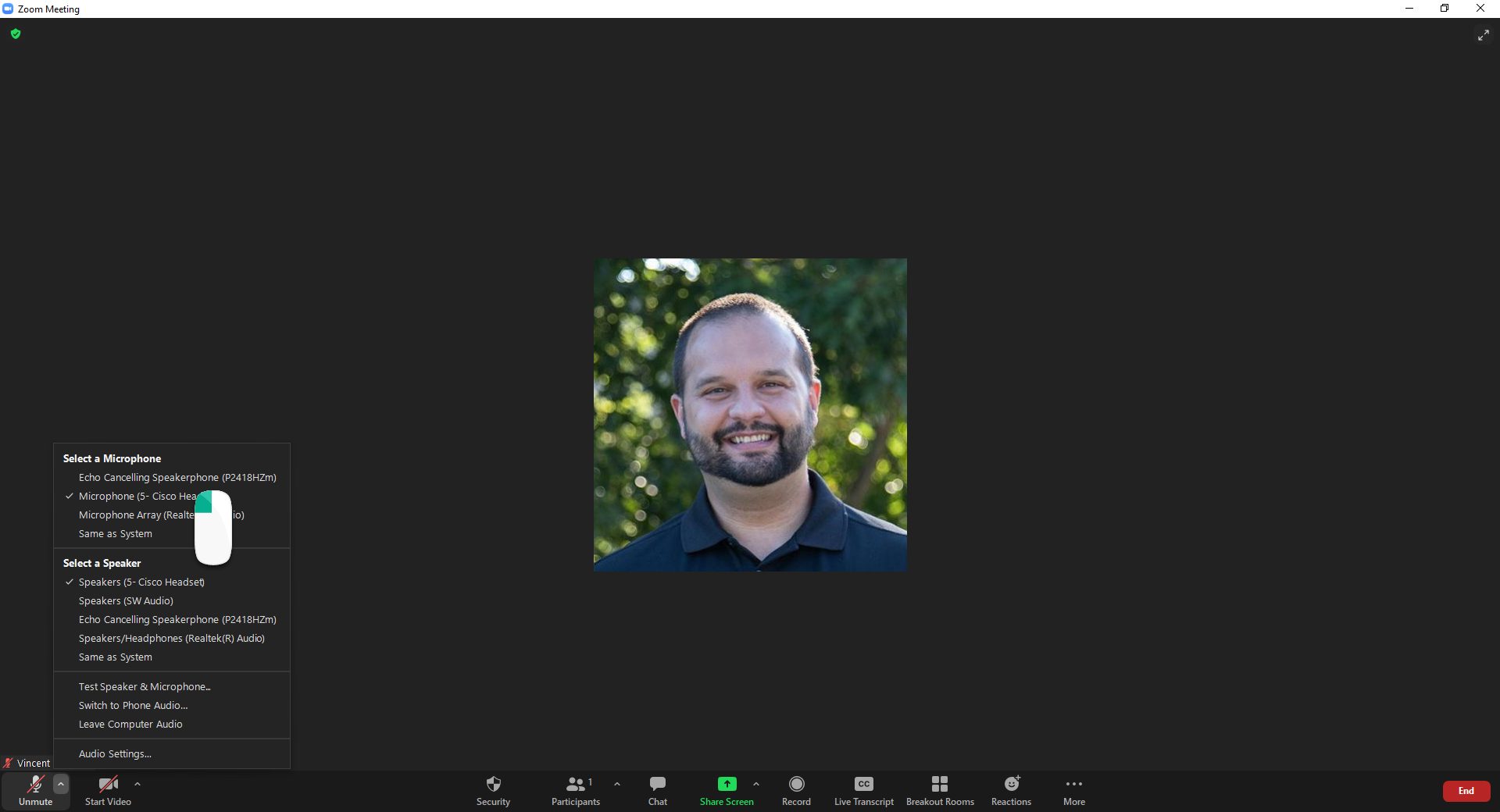 Adjusting your Audio and Video settings in Zoom - CCAC's Help Center