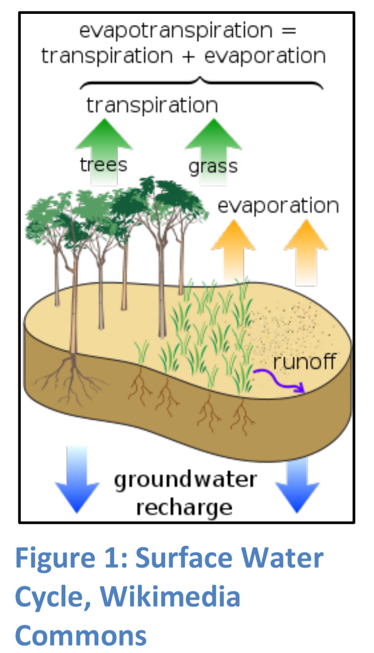 Evapotranspiration Diagram
