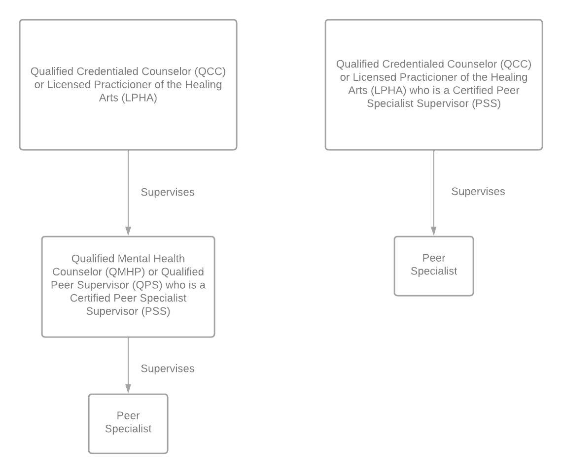 What are the eligibility requirements to become a Peer Specialist ...