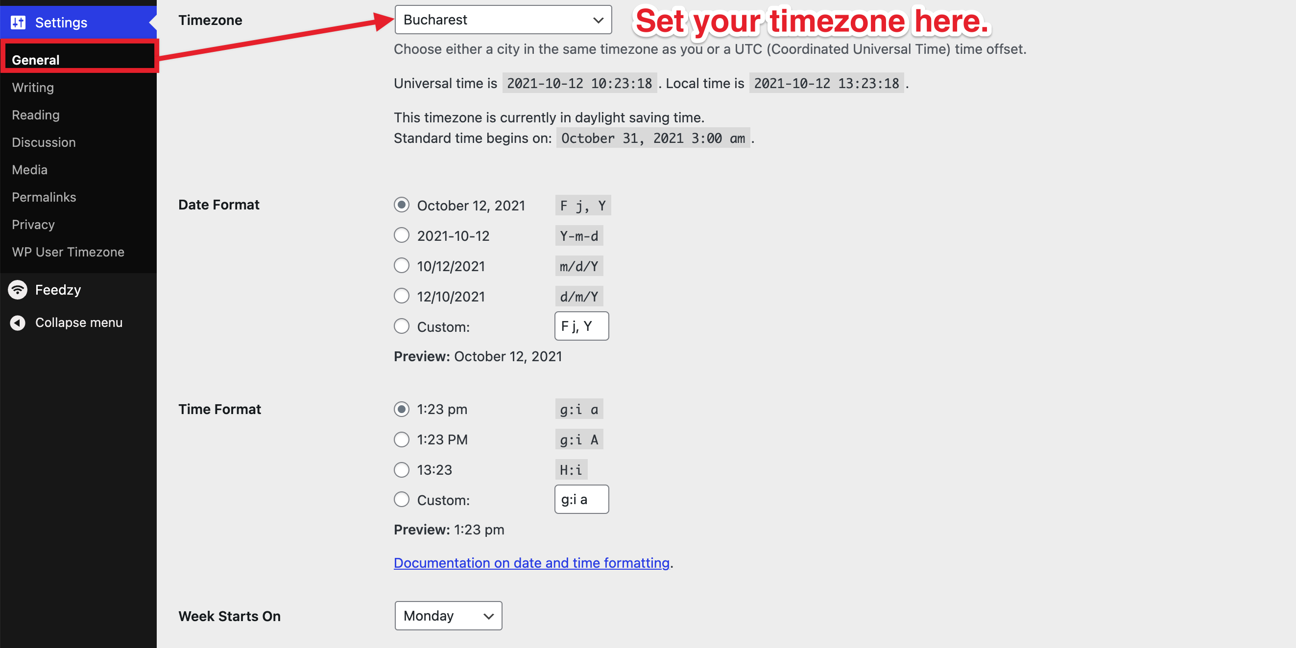 Custom Layouts Module Documentation - ThemeIsle Docs
