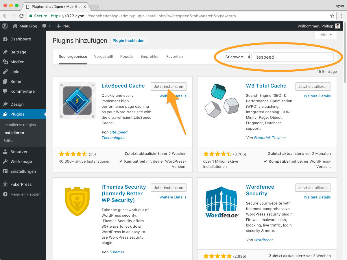 LiteSpeed Cache für WordPress konfigurieren