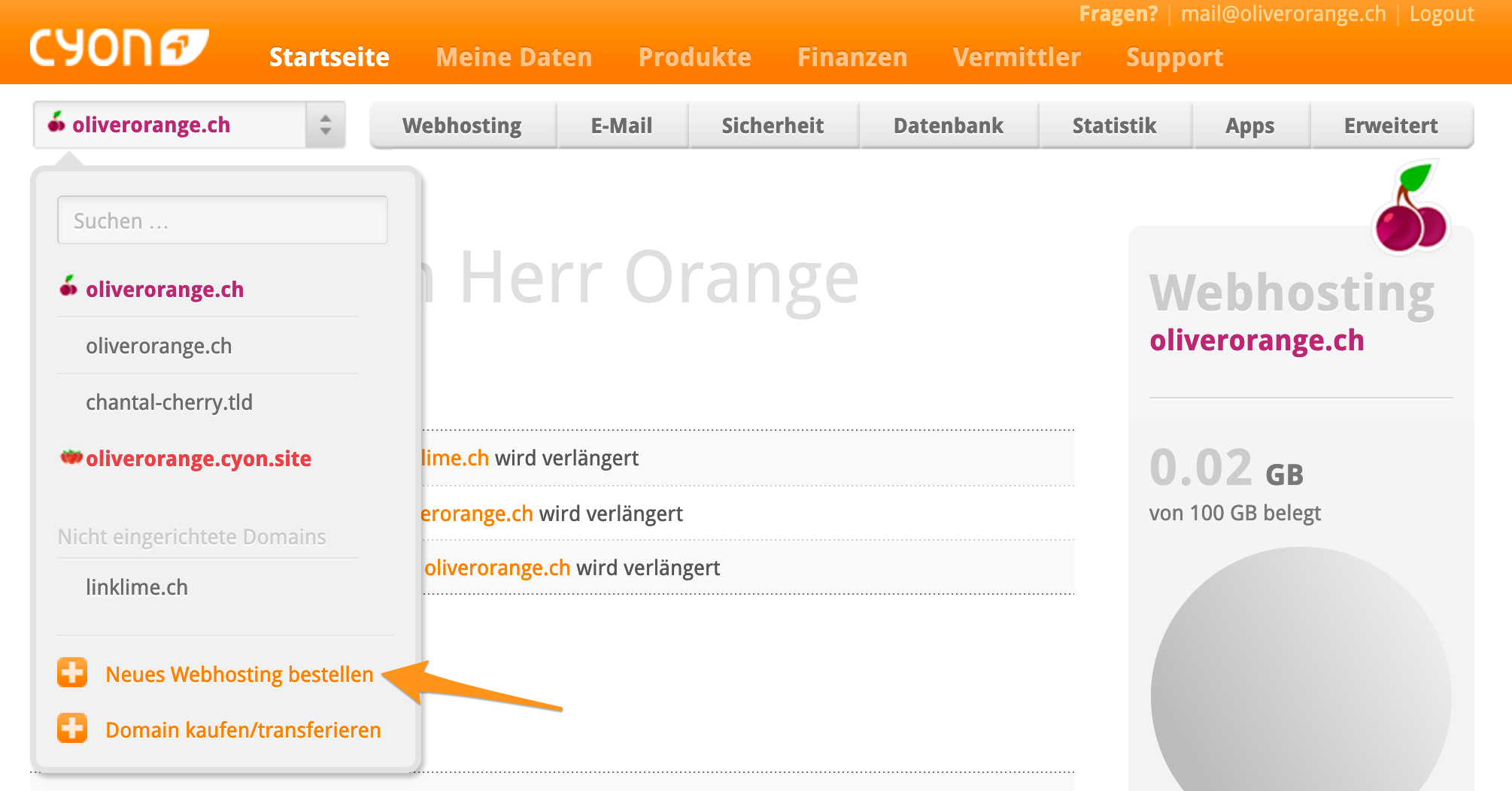 Webhosting via my.cyon bestellen