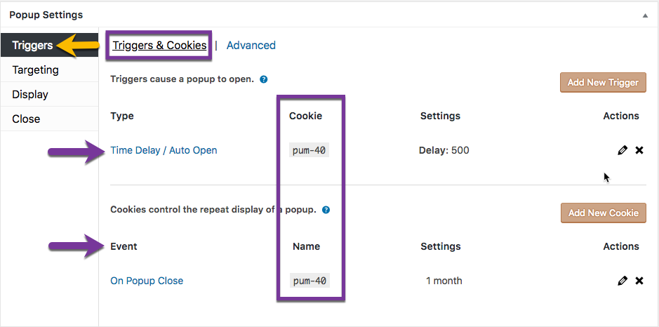 Cookie Settings - Popup Maker
