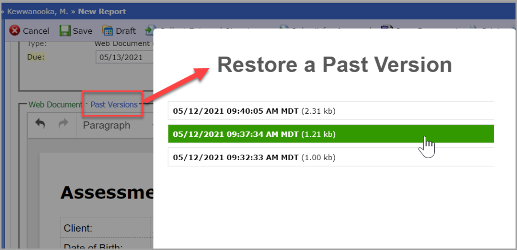 Past Versions for Custom Forms and Web Documents – extendedReach
