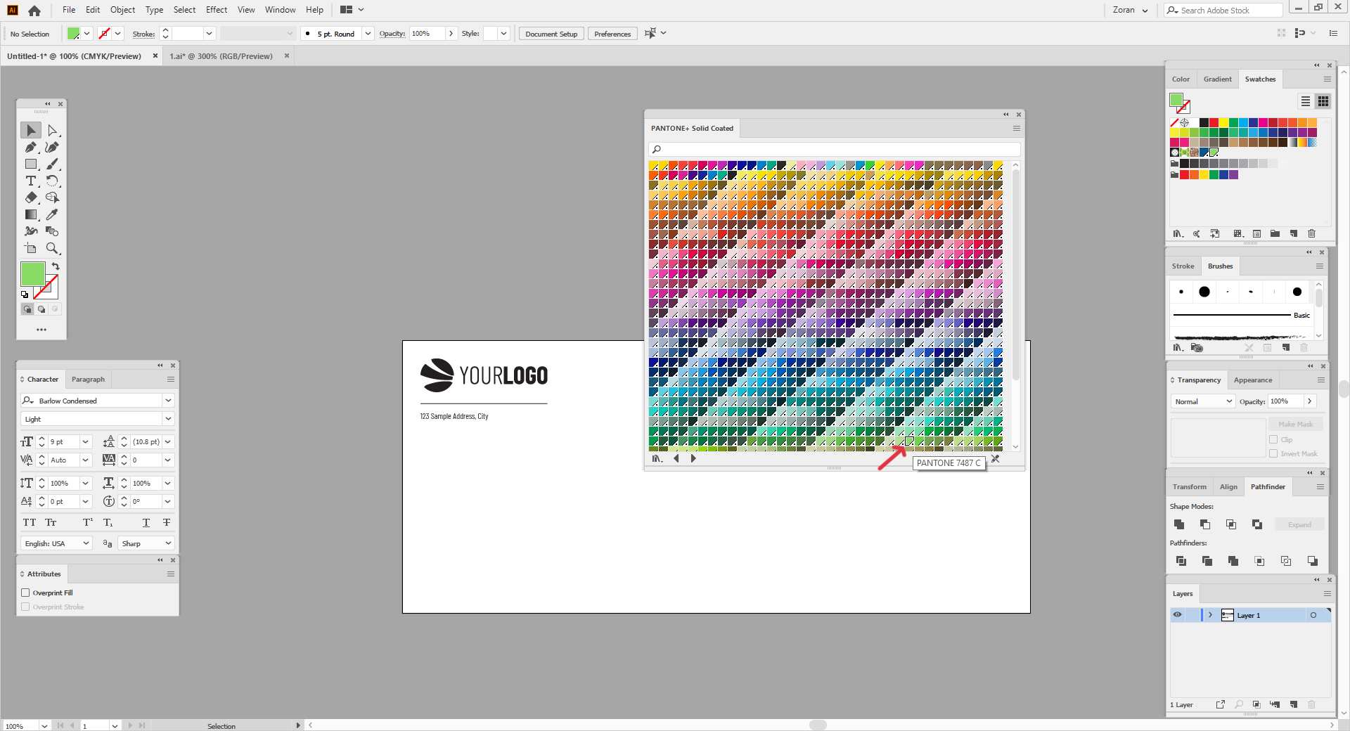 Pantone Color Illustrator