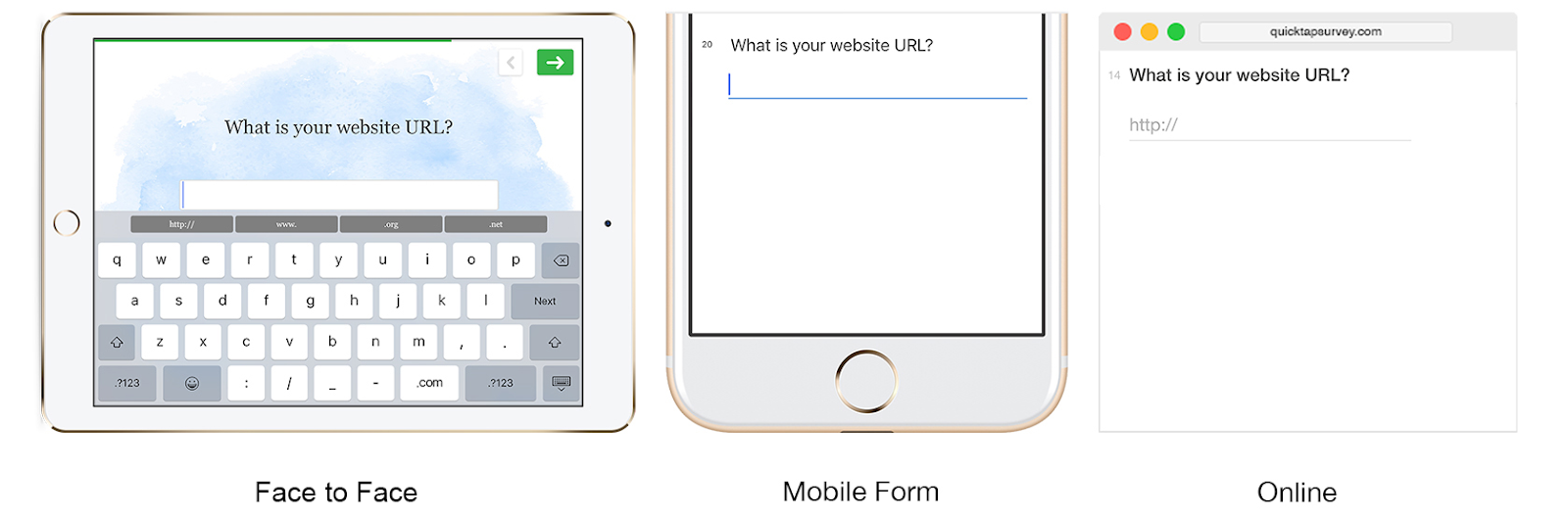 website-url-quicktapsurvey
