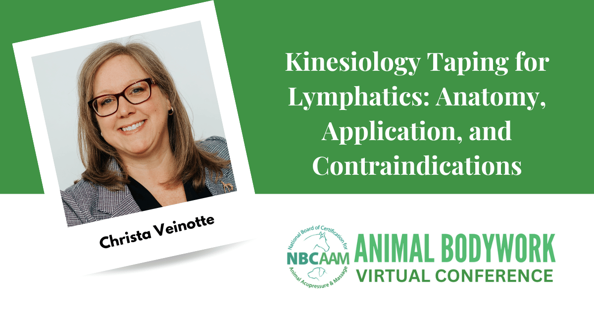 Kinesiology Taping for Lymphatics: Anatomy, Application, and ...