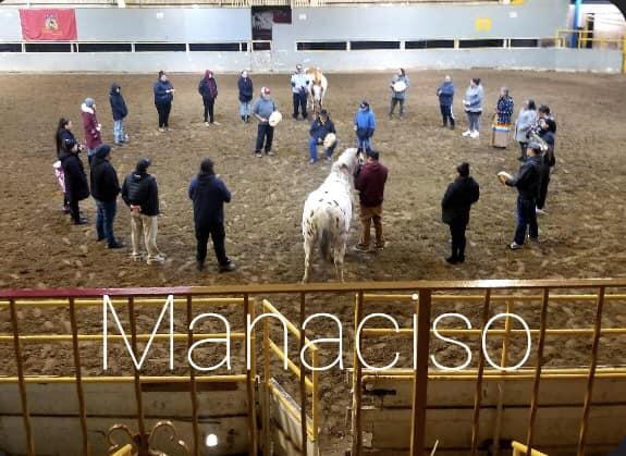 Patrick Buffalo: Manaciso Healing With Horses