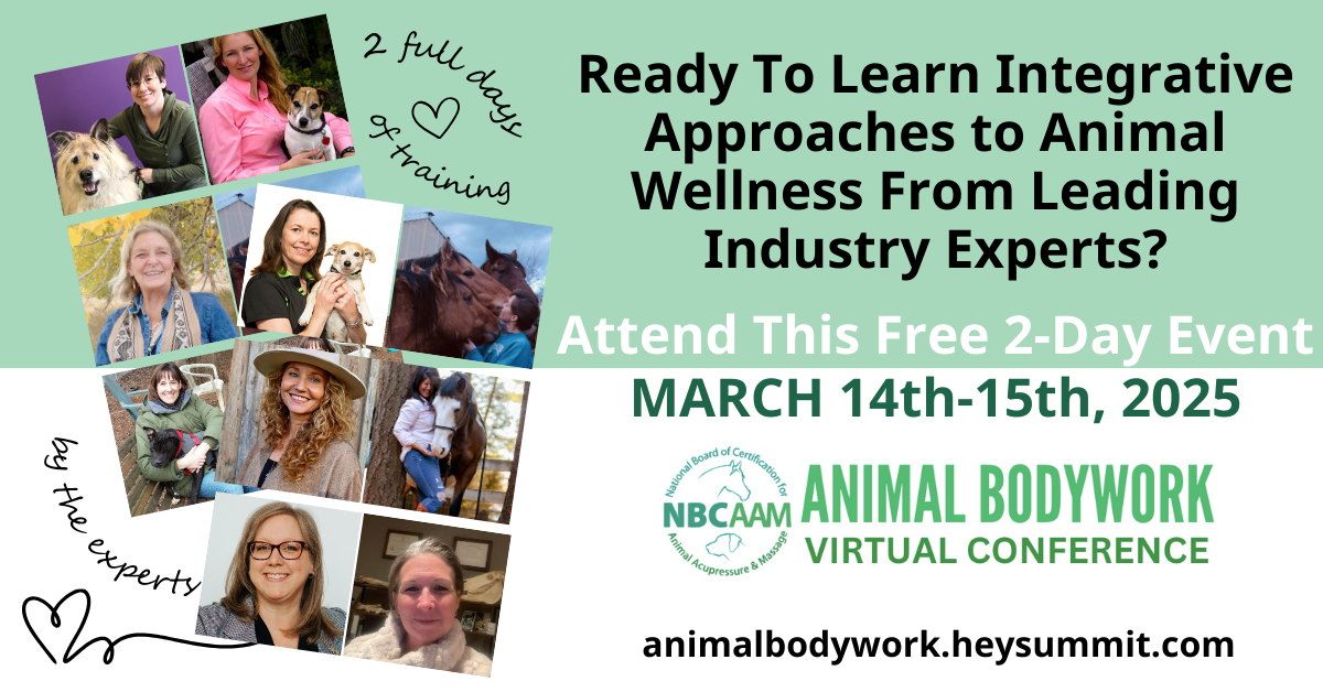 Kim Bauer - NBCAAM Animal Bodywork Virtual Conference