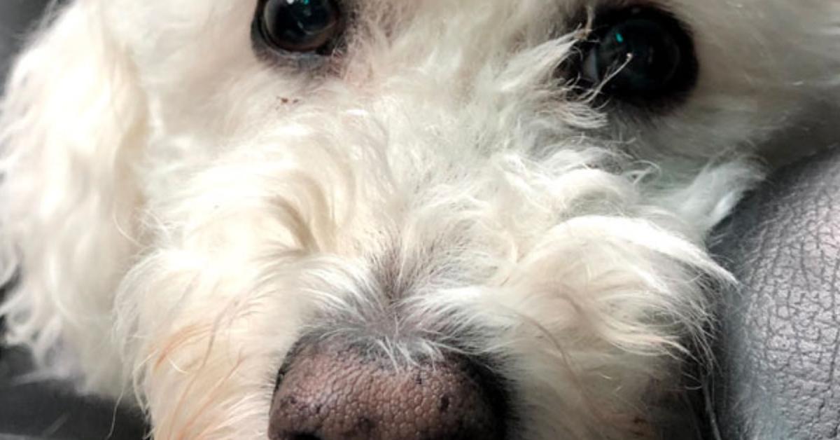 Alex Ragozzino - Dracula: A Radio Play Mini-Series