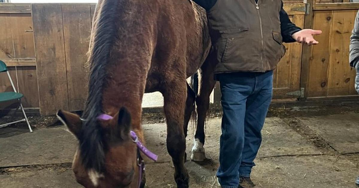 Patrick Buffalo: Manaciso Healing With Horses