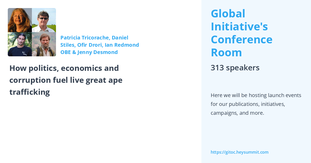 Daniel Stiles - Global Initiative's Conference Room