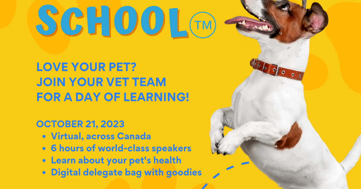 Mini-Vet School™ by Community Veterinary Outreach