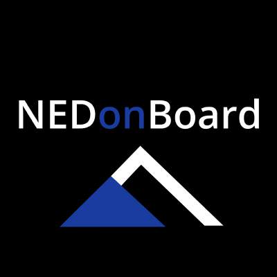 NED CV Webinar by NEDonBoard