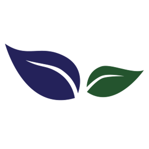 Summer Online Summit - Demme Learning