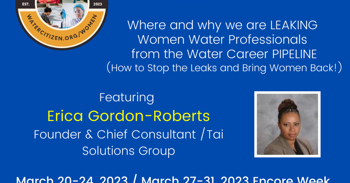 Water Association DEI Chair and HR Expert Erica Gordon-Roberts On Planning A Successful Career ...
