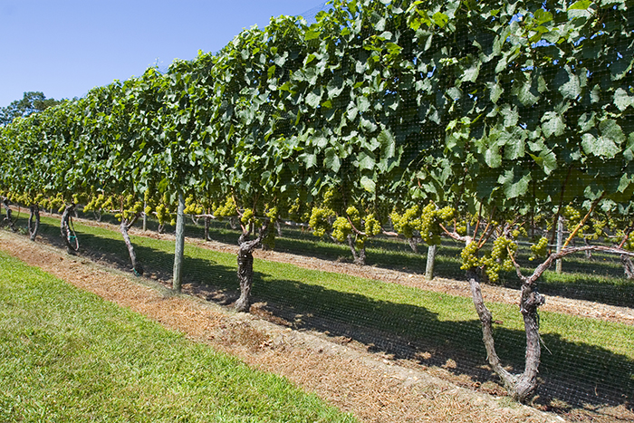 Home - CaliforniaChapterofASFMRA