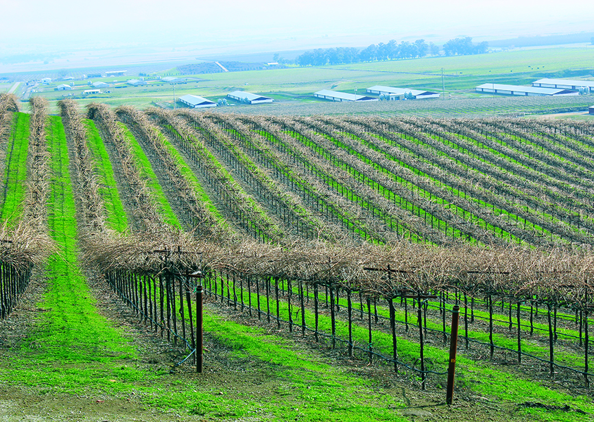 Home - CaliforniaChapterofASFMRA