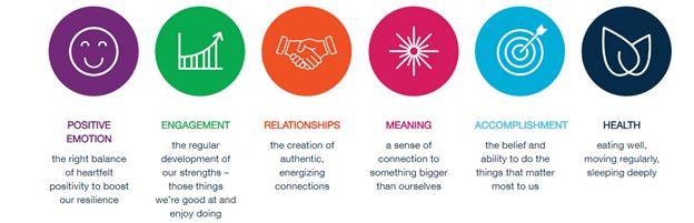 In the Pursuit of Happiness: How positive psychology theory can be ...