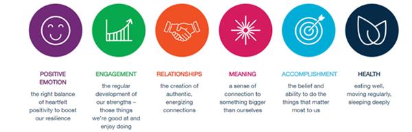 In the Pursuit of Happiness: How positive psychology theory can be ...