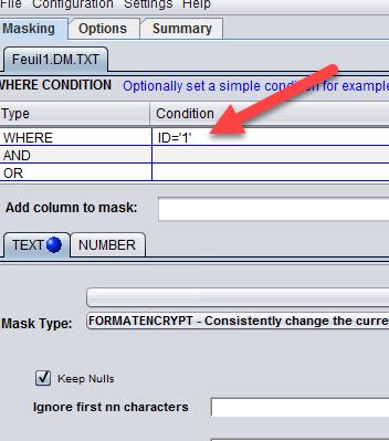 How to specify a WHERE Clause while masking EXCEL FILE with FDM | Test ...