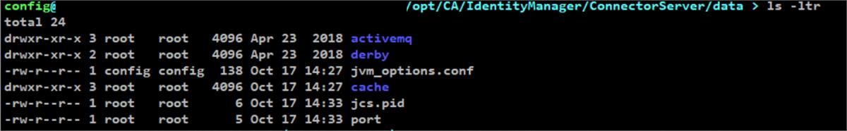 Customizing the JVM JCS | Symantec IGA