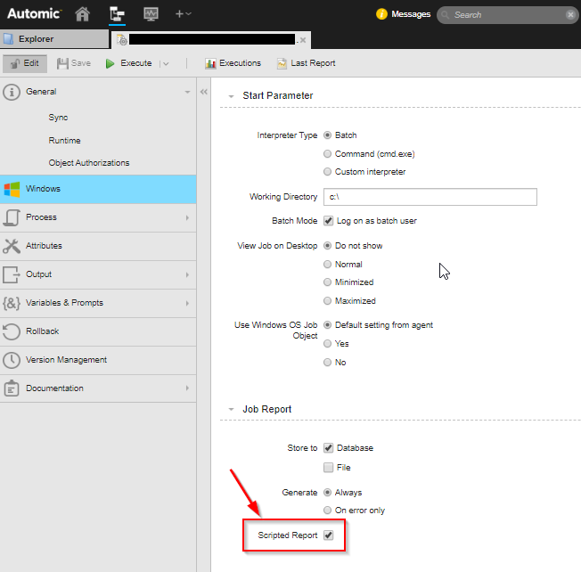 Need to know more on "Scripted Report" option in WIN jobs | Automic Workload Automation