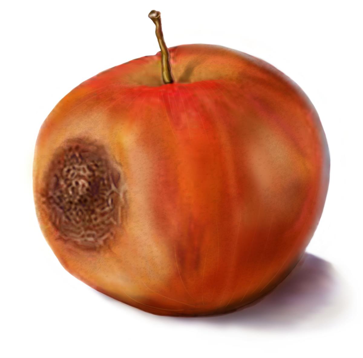 Apple P.I.E.- Pressure Injury Explanation - Medline