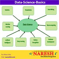 Data Science Basics for Beginners | Global AI and Data Science