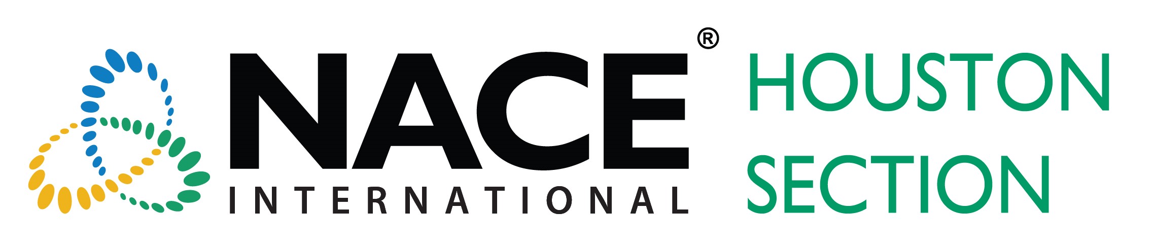 Houston Section - Officer Nominations - AMPP