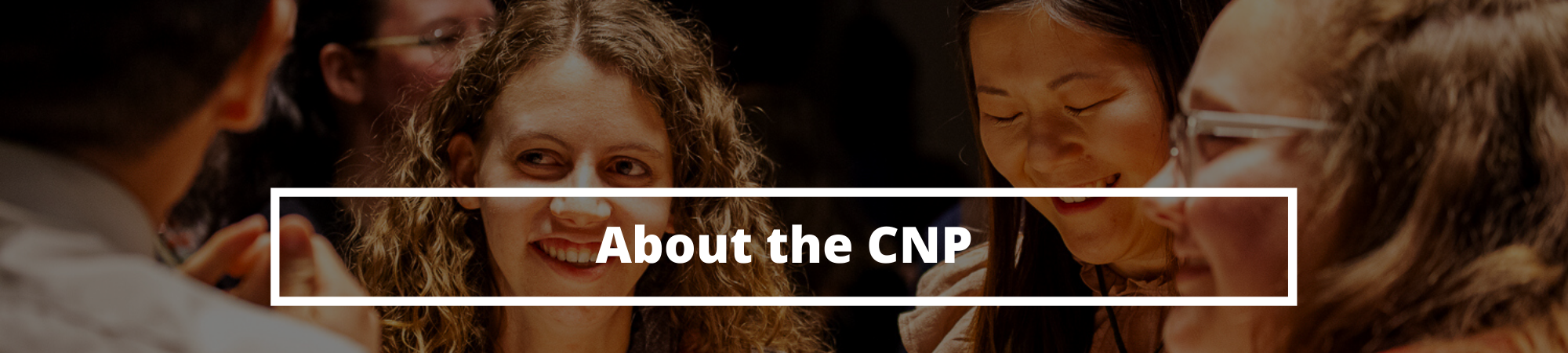 About the CNP - Nonprofit Leadership Alliance