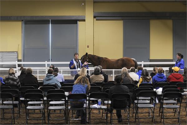 PATH Intl. Member Connection - Help - Path International