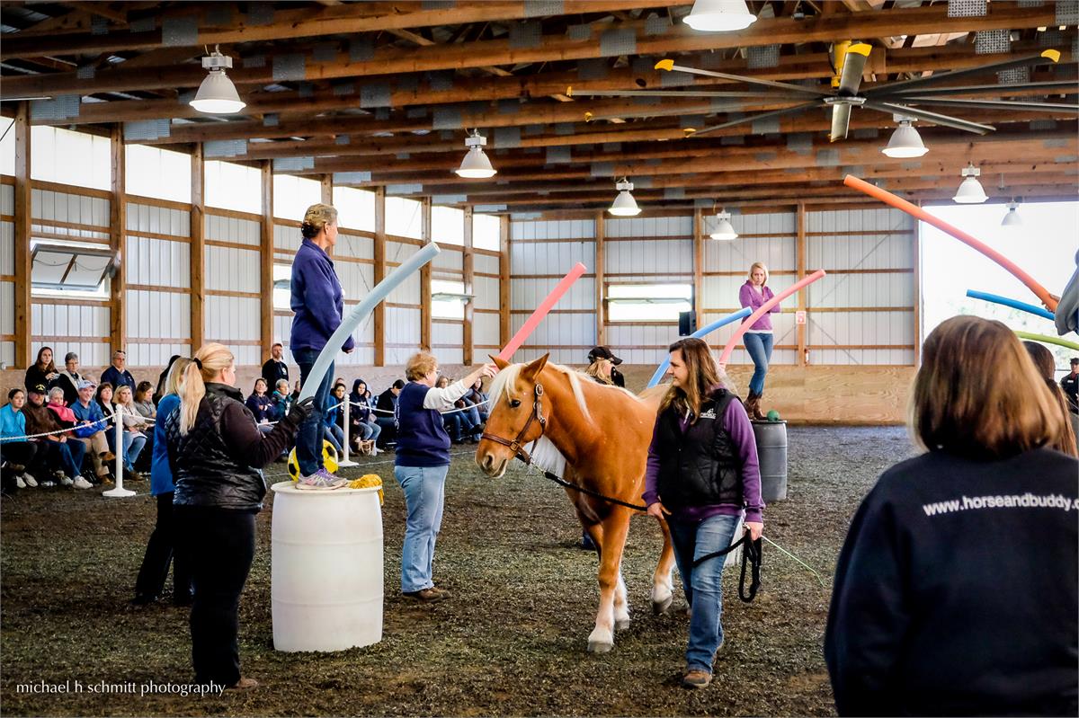 Scholarships - Path International