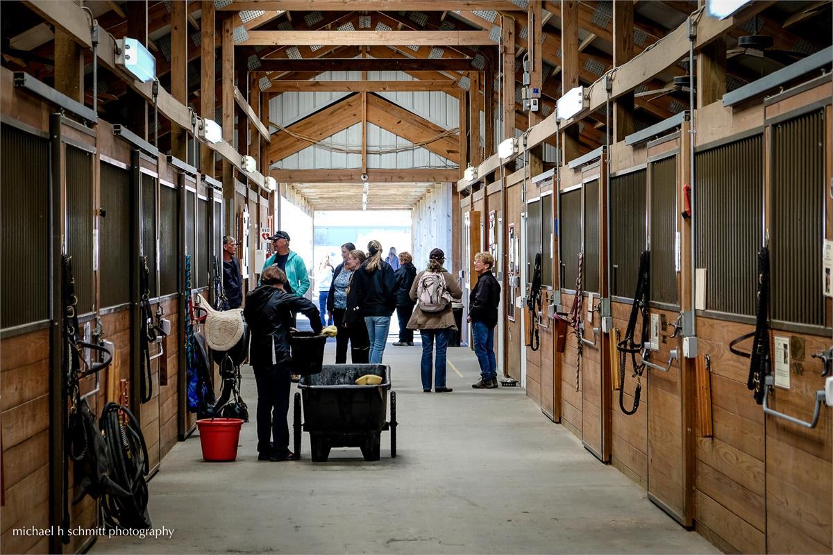 Awards - Path International