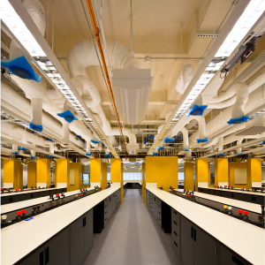 Shell Westhollow - Hines