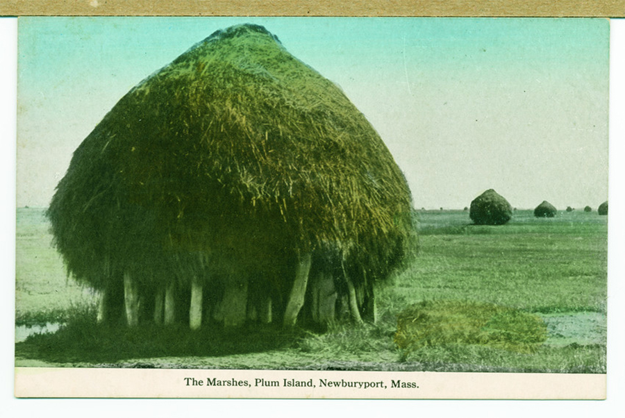 Video: Explore 230 acres of open land at Spencer-Peirce-Little Farm ...