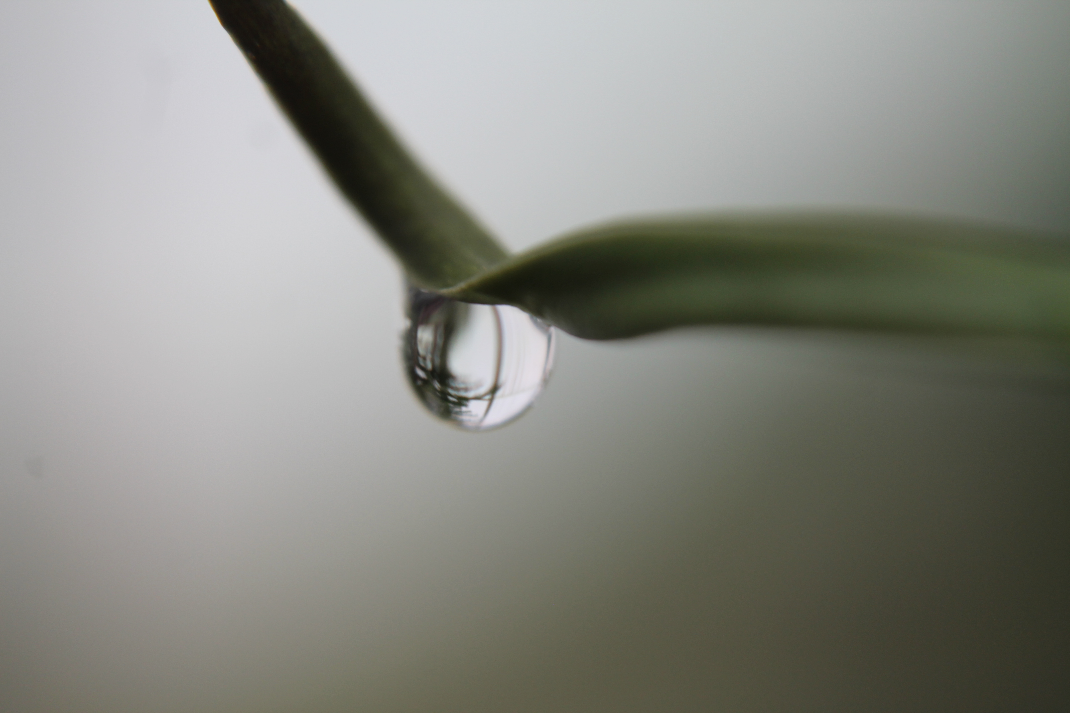 Hobart :: Free Advice and Fortunes Told by Bonnie Nadzam