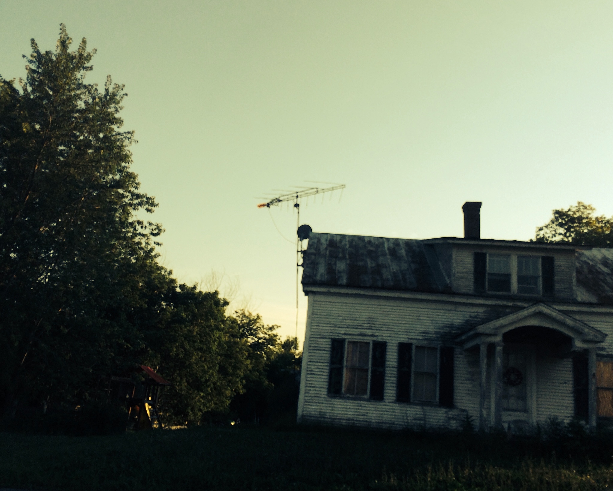 Hobart :: Digger Duane by Dan Leach