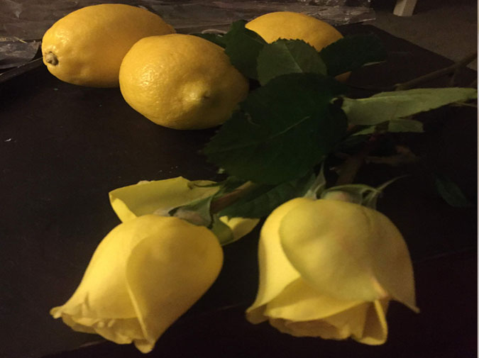 Hobart :: Three Poems by Janice Majewski